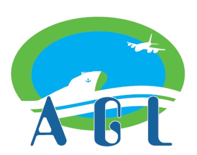 APEX GLOBAL LOGISTICS LLC