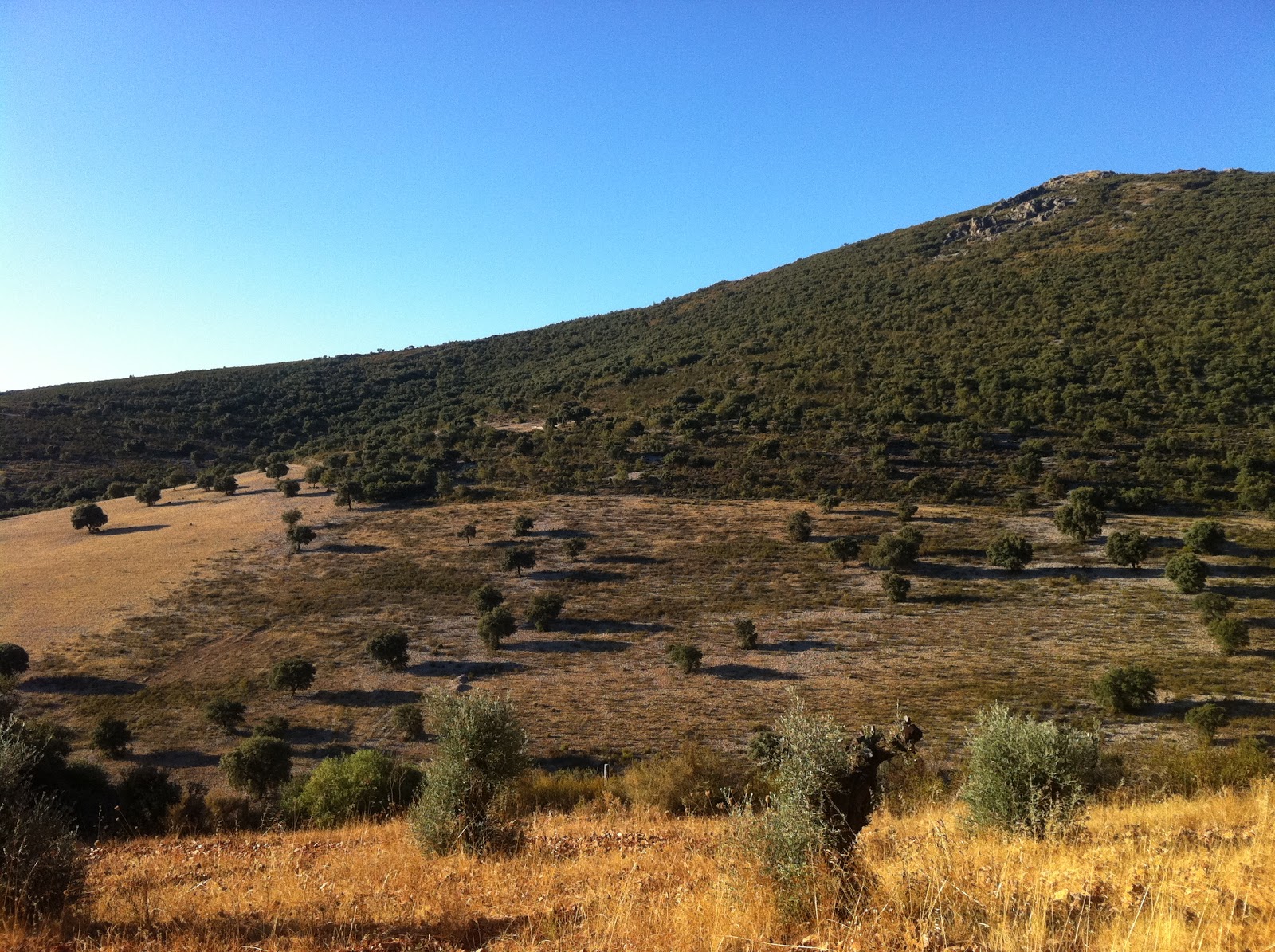 CorriendoporelCampo: La sierra de Villarrubia de los Ojos