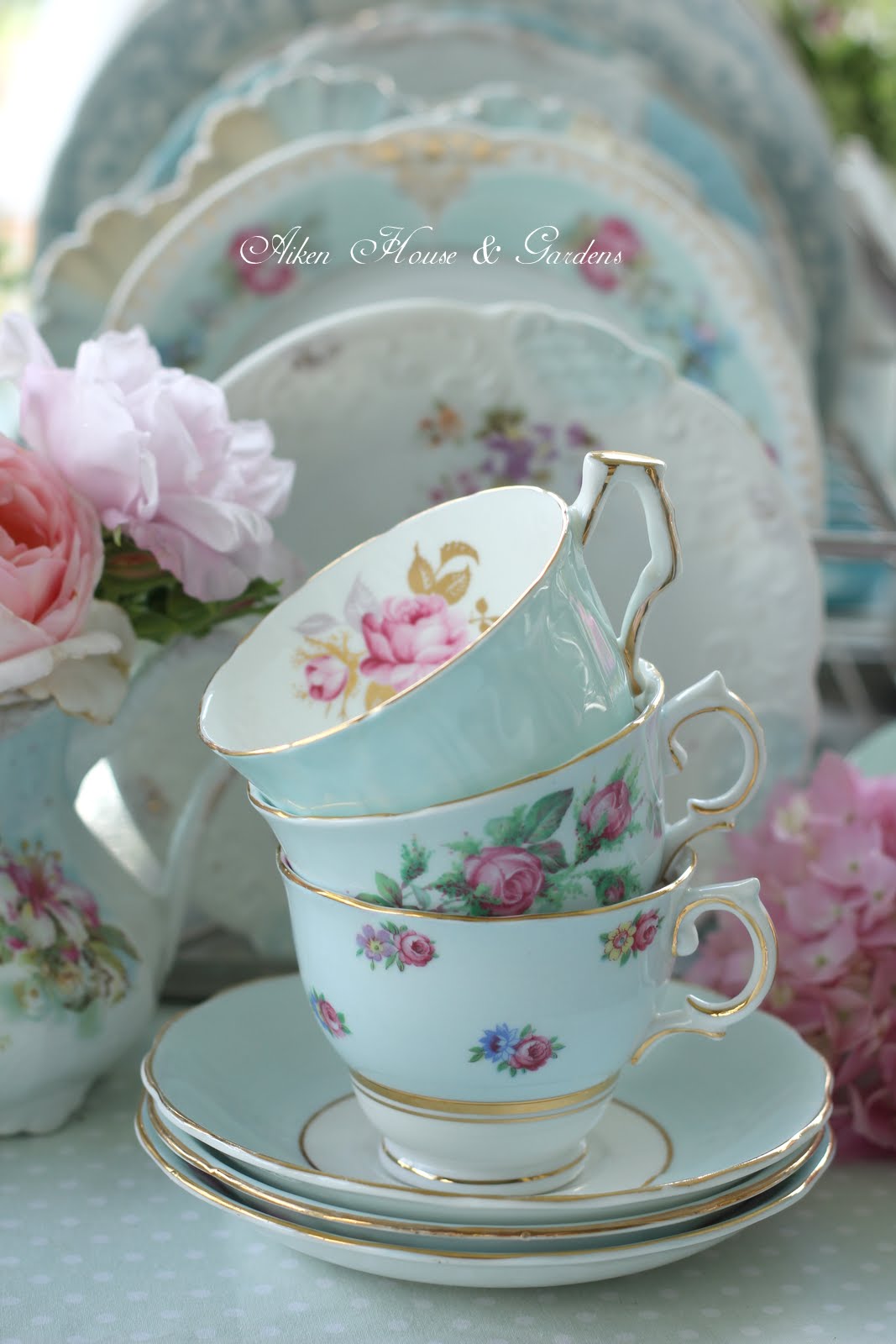 Aiken House & Gardens: Dish Array