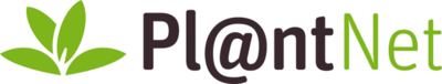 Crea y aprende con Laura: Pl@ntNet. Una app para identificar plantas ...