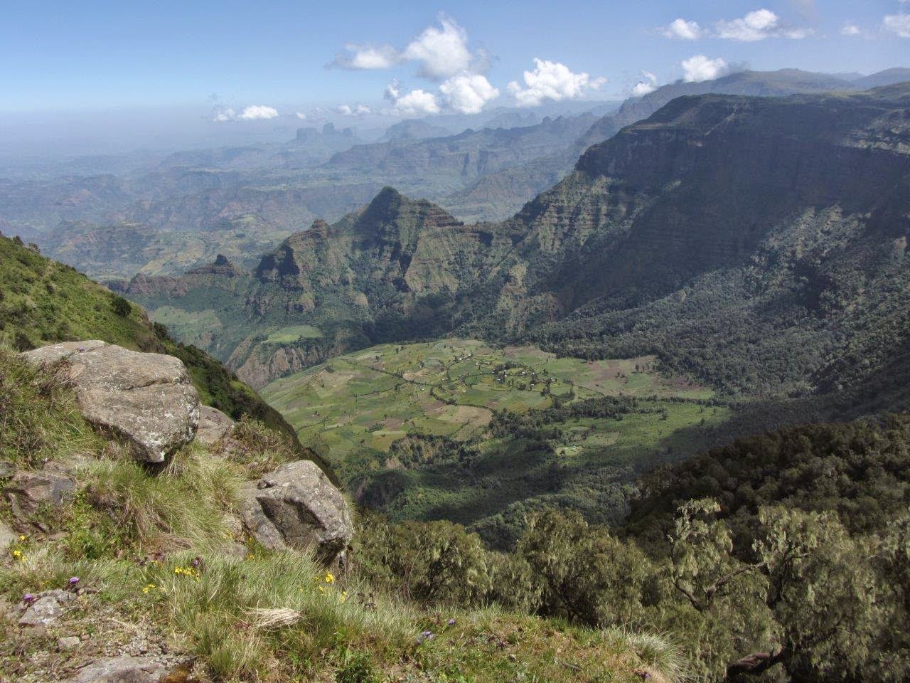 Emerging Ethnobiologists: Faces of Ethnobiology: Morgan Ruelle