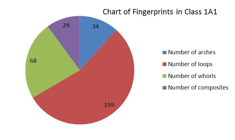 My Science Portfolio: Pie Chart of Graph of Fingerprints 1A1