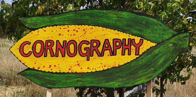 Meet Me At The Silo Cornography The Second Popping