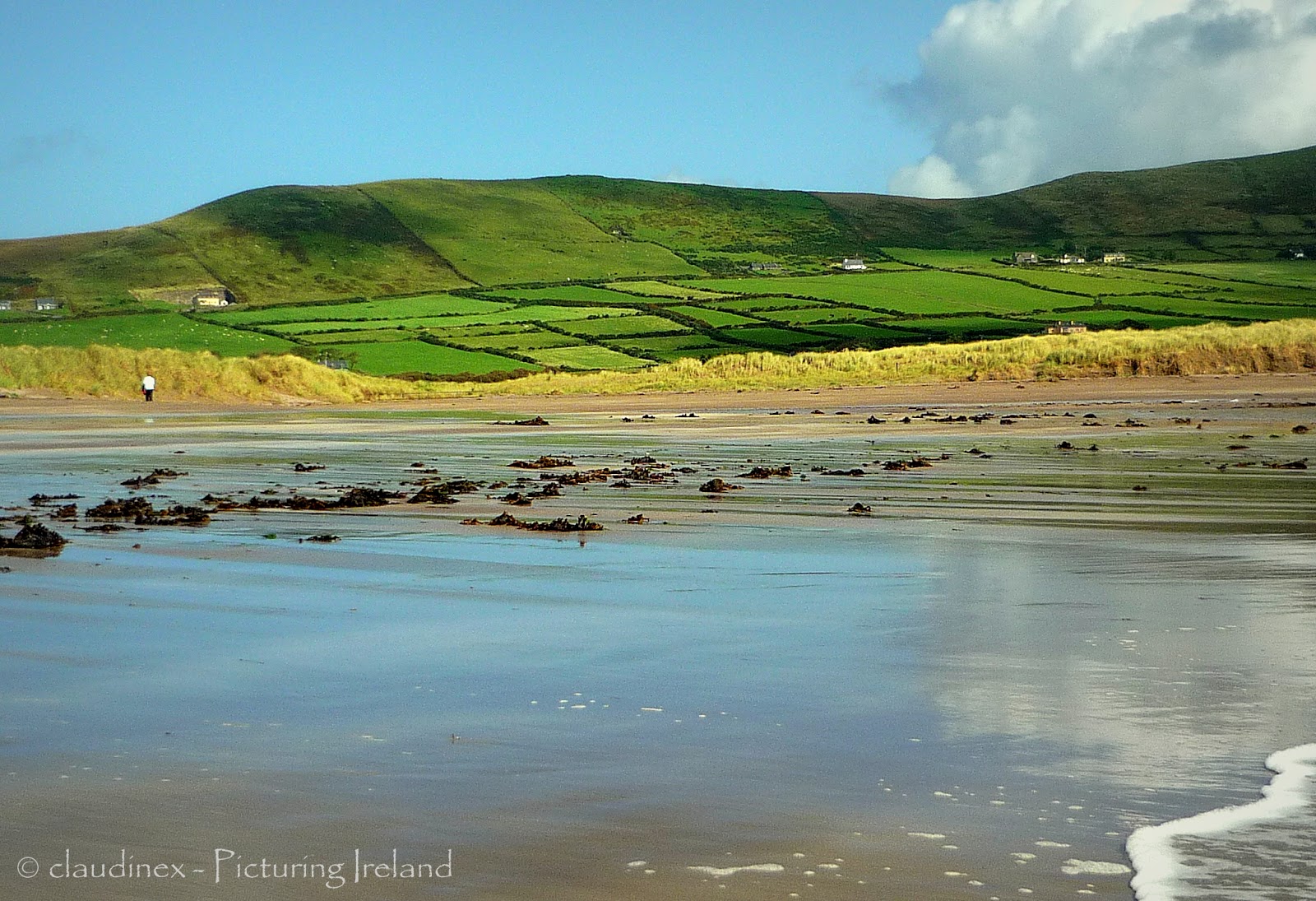 Picturing Ireland : The Battle of Ventry, Co. Kerry