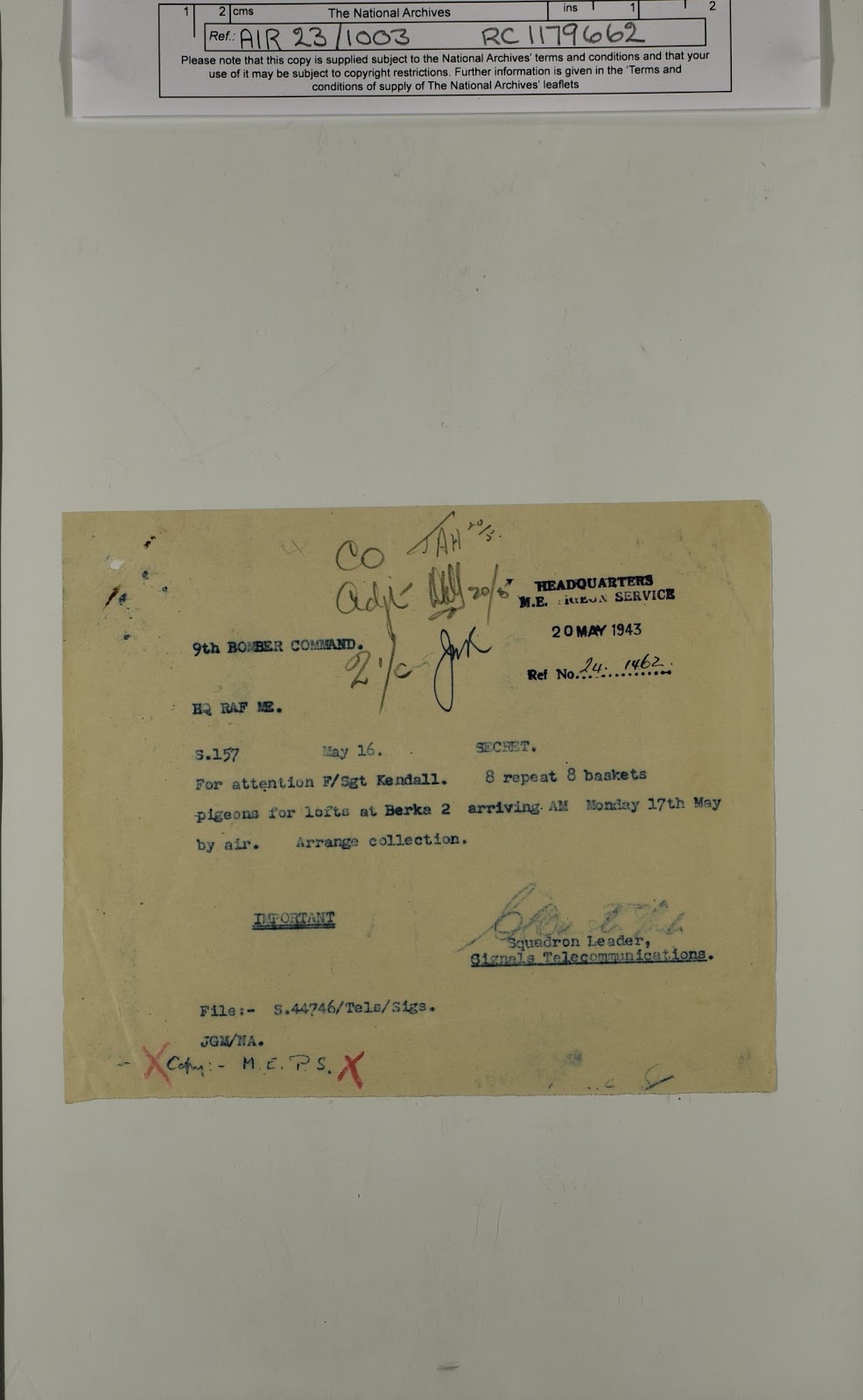 World War 2 History and the WW2 Pigeons: Report on East Africa Pigeon ...