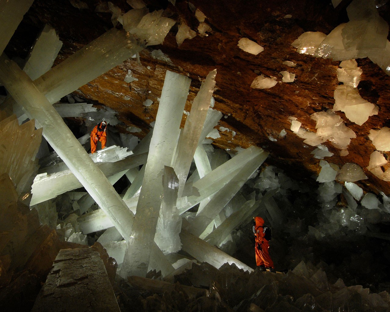 Cave of the Crystals or Giant Crystal Cave | Animal Photo