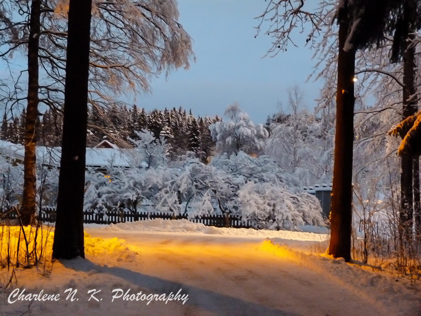 And Winter Marches On |Blissful Solitary Wanderings