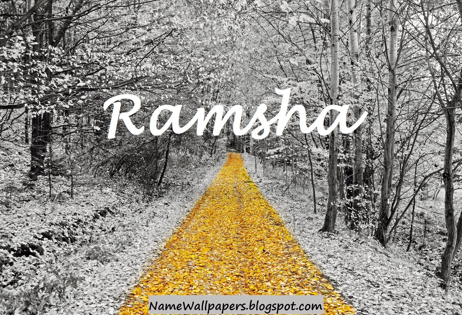 Ramsha Name Wallpapers Ramsha ~ Name Wallpaper Urdu Name Meaning Name ...