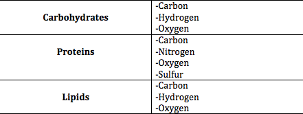IGCSE: Biology double-award