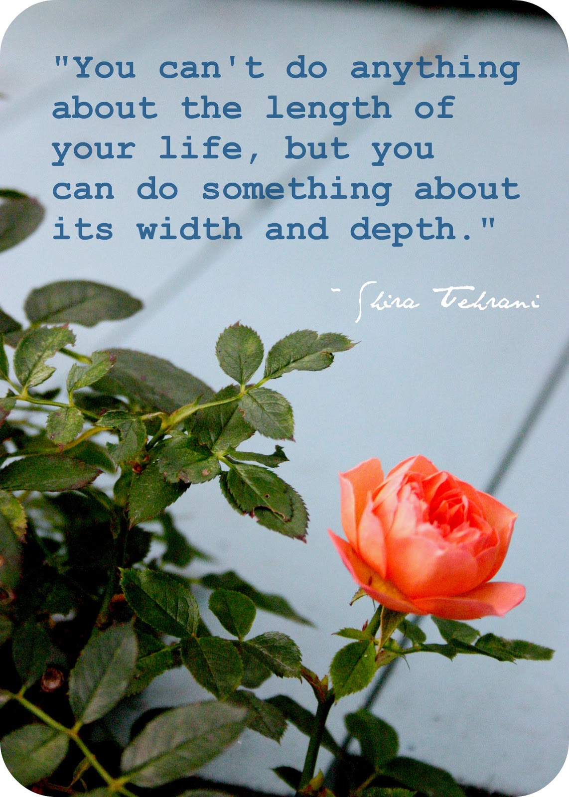 Coco Rose Diaries: Back to basics......