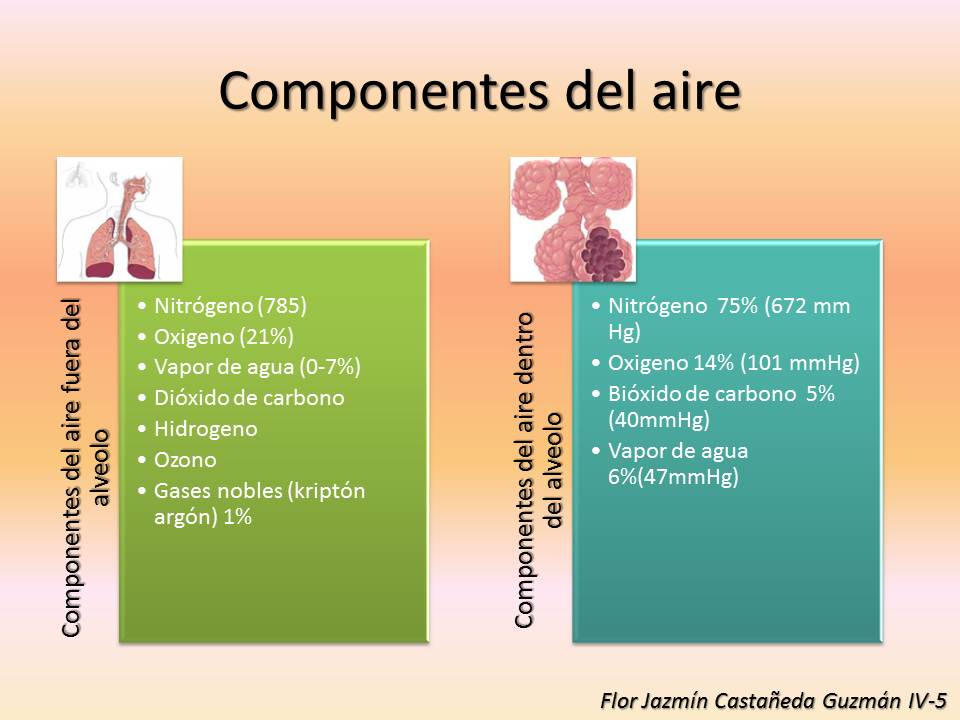 Fisiología Humana: junio 2013