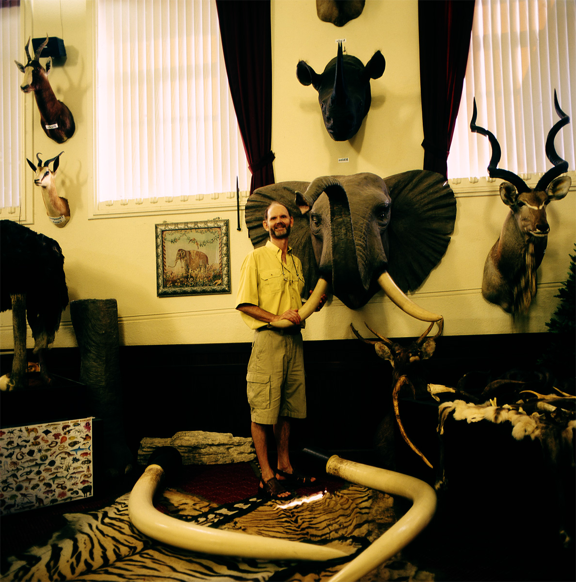 The Dead Zoo: The Dead Zoo