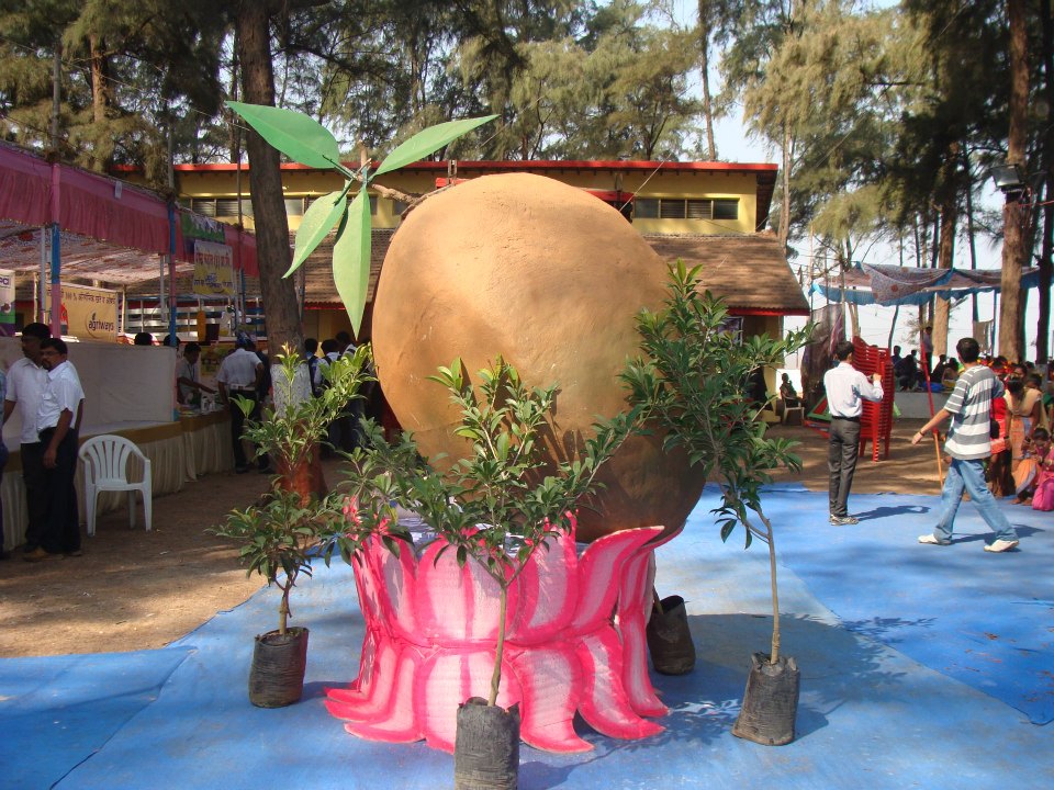 Travel-India: Chikoo Festival 2019 in Bordi