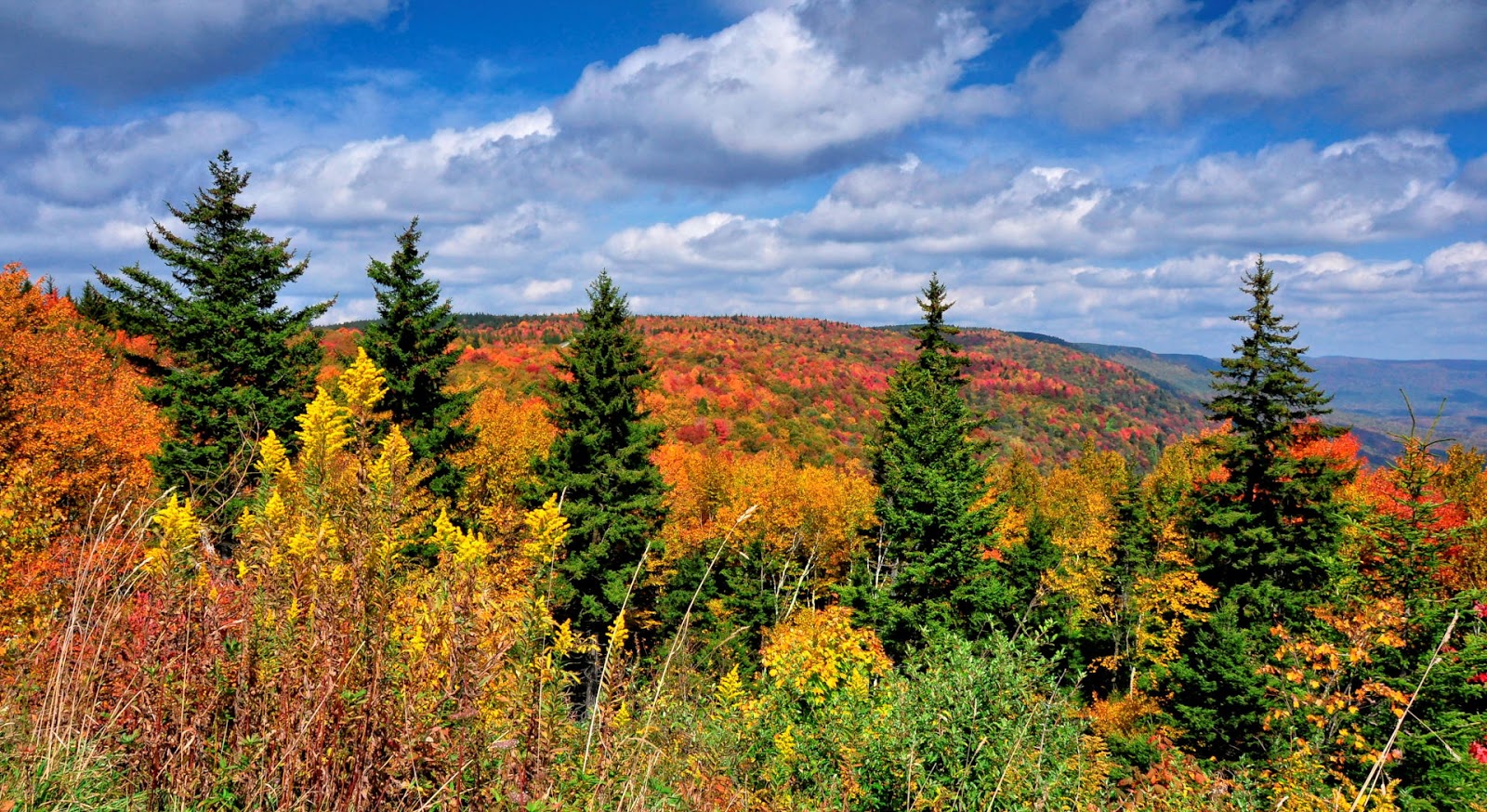 Discover West Virginia: Where to Go for Early Autumn Color in WV