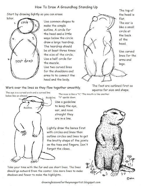 How to Draw Worksheets for The Young Artist: How To Draw A Groundhog ...