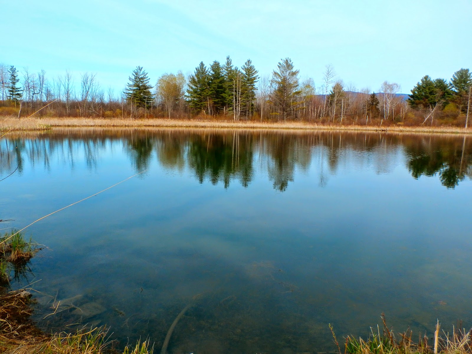 Walking Man 24 7: Williamstown(Field Farm/ Mt Hope Park/ Sheep Hill)