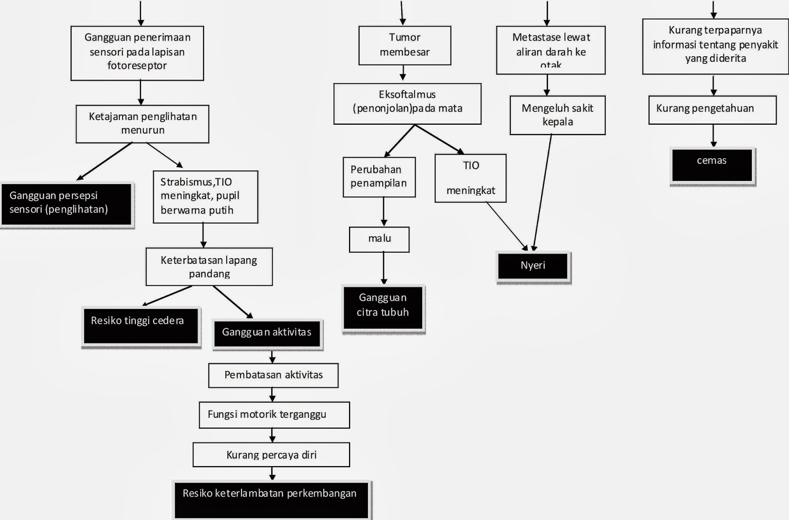 Dicky Nufero (nurse for hero): PATHWAY RETINOBLASTOMA