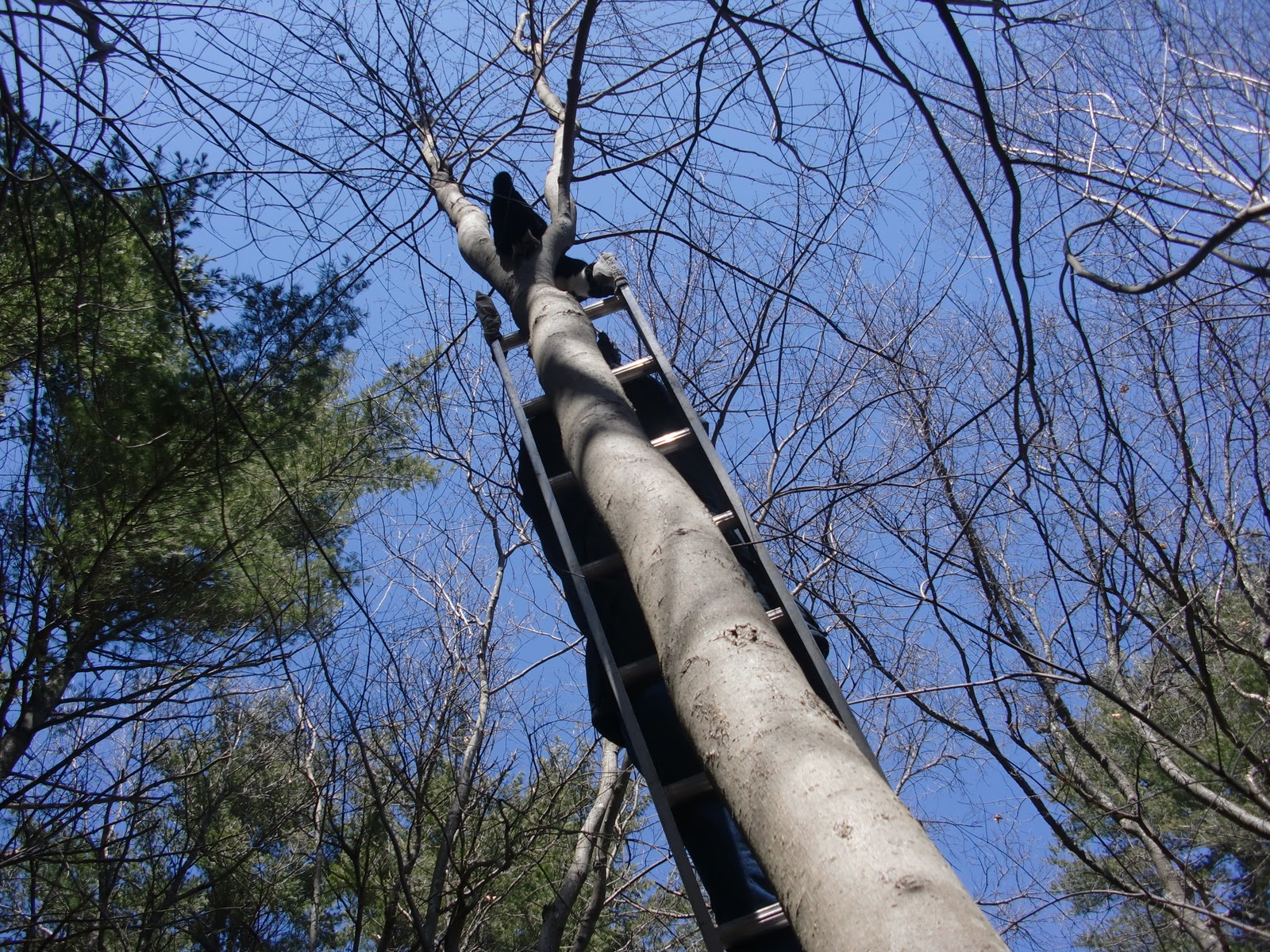 Have You Ever Had One Of Those Days?