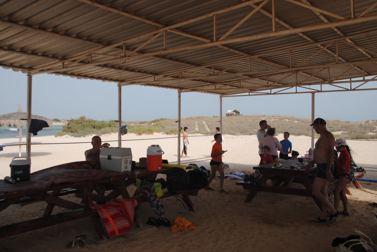Les Crespi à DJIBOUTI: Journée sur l'île de Maskali