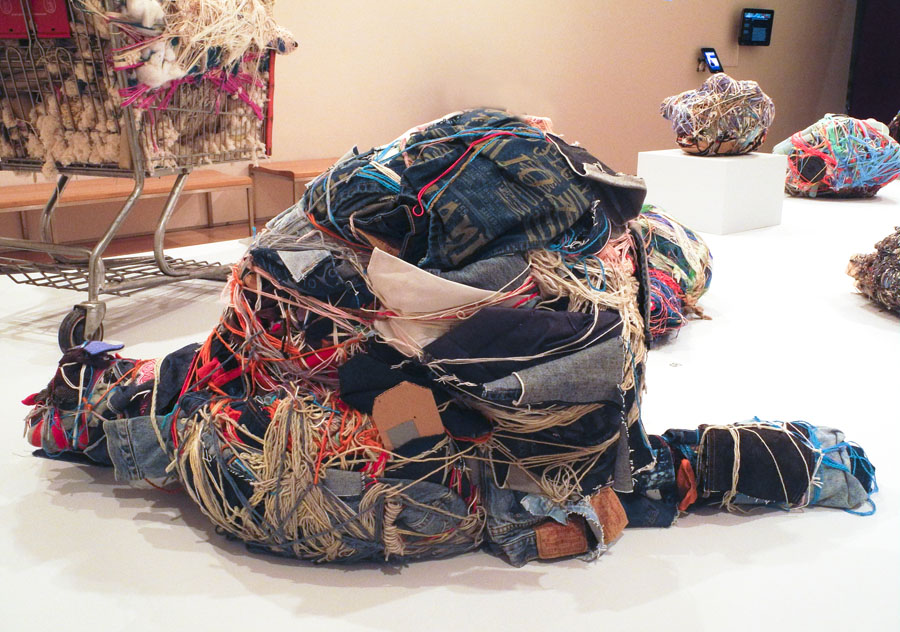 Studio and Garden: Judith Scott: Aesthetics and Biography