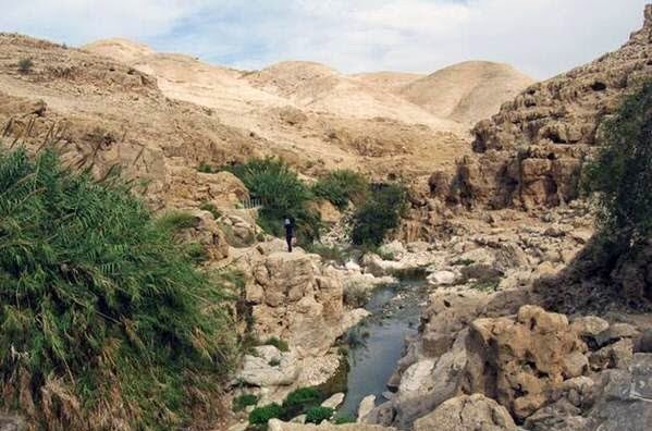 Awjila - the sands compassionate