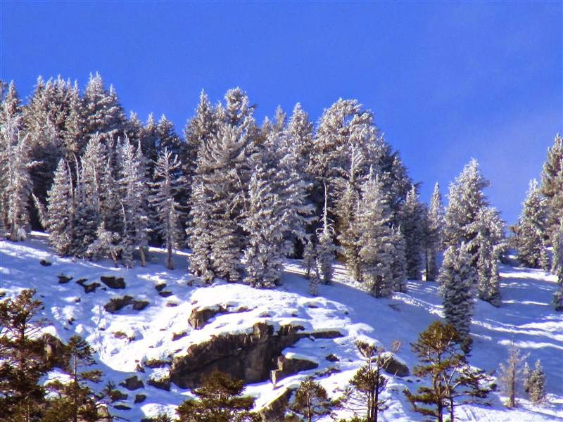 Pogonip... - HAERR TRIPPIN'