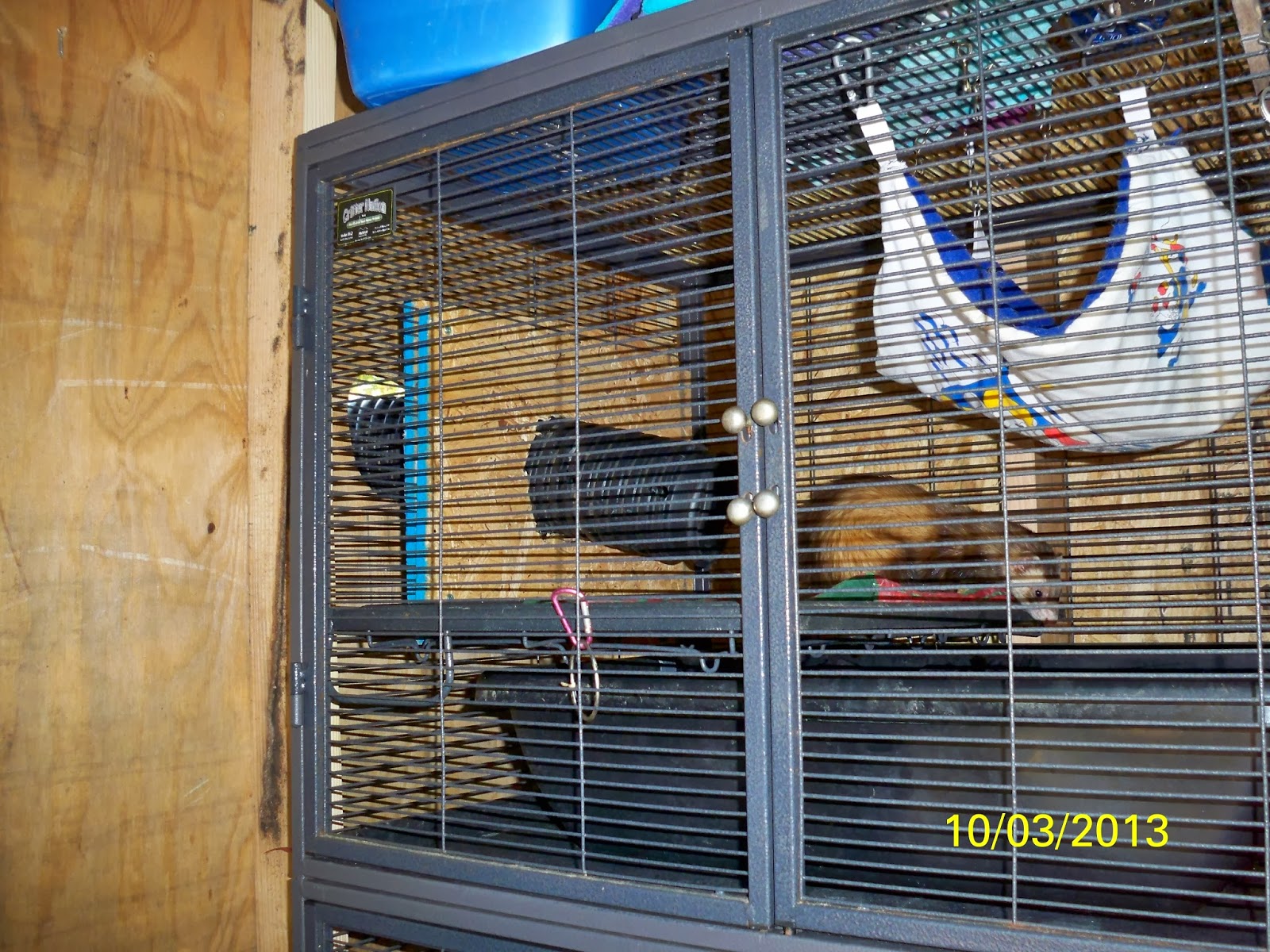 ThoseDamnDogs!: Ferret Enclosure Update