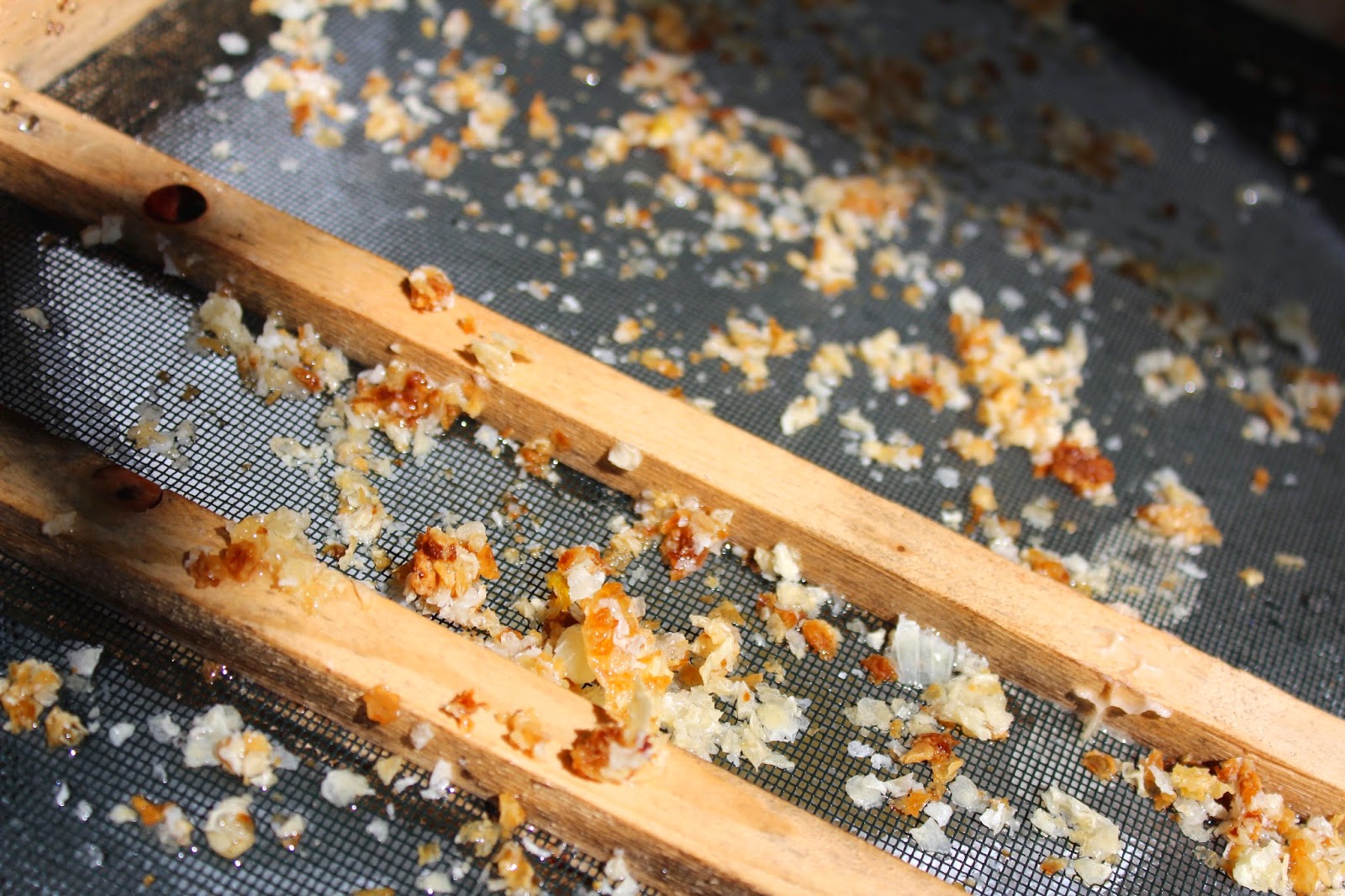 Flannel Jammies Farm: solar wax melter (mis)adventure...