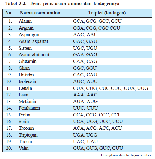 354 Pedia: Struktur Kimia Materi Genetik