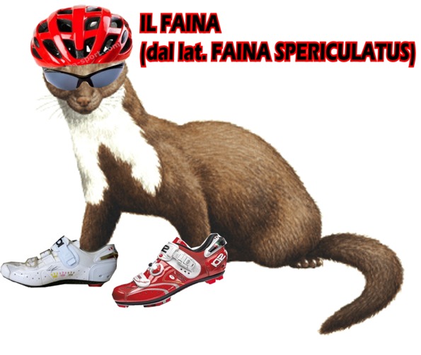 Sempre A Ruota: L'ORIGINE DELLA SPECIE (...verso l'estinzione?)