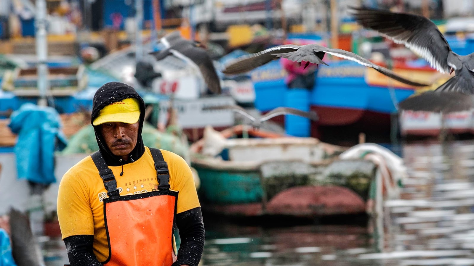 Cerro Azul y Pucusana