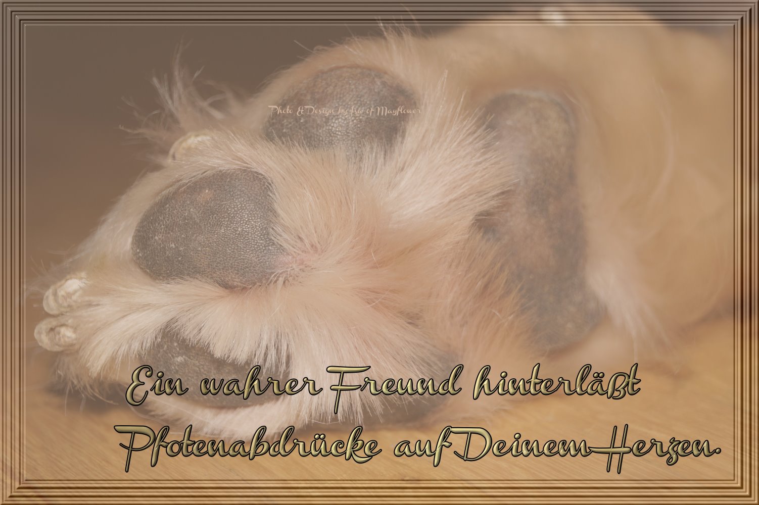 Hundegedichte & mehr / Dog poems & more: Ein wahrer Freund