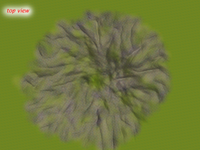 HOW TO CREATE A WORLD - THE SIMS 3 CAW TOOL GUIDE: Sculpting - Mountains