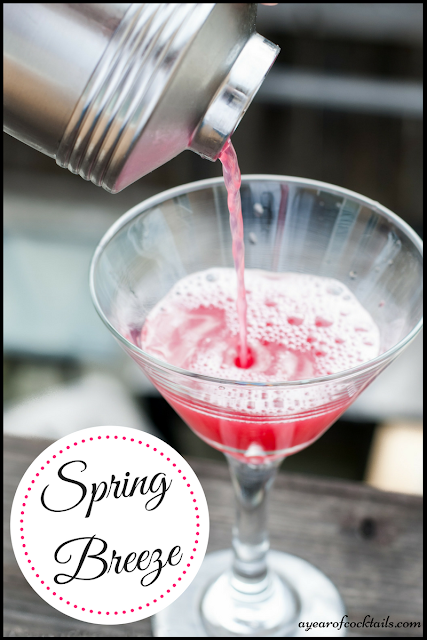 Spring Breeze - A Year of Cocktails