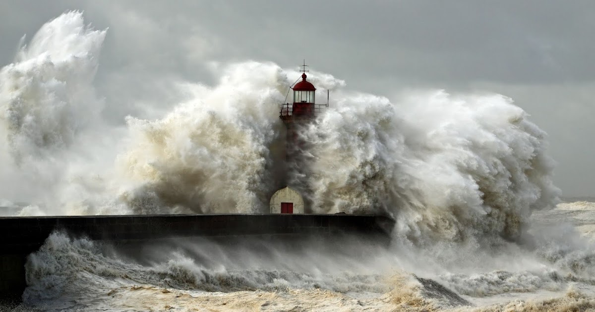 mamabishop: Great Gales