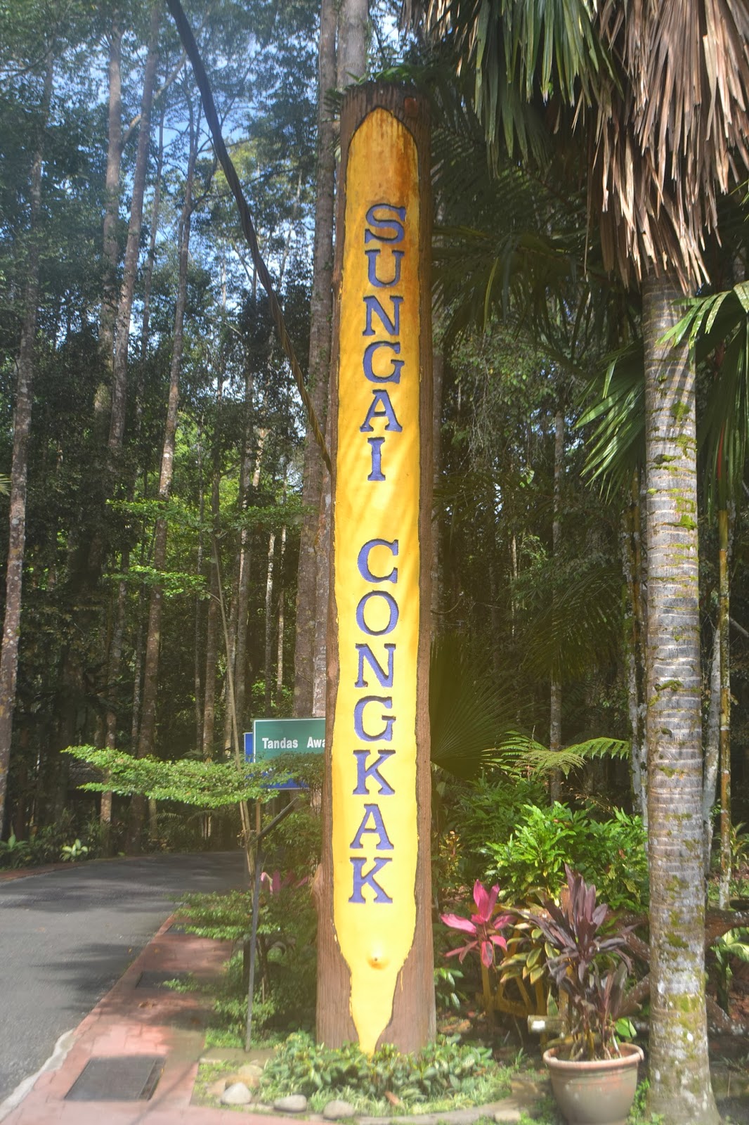 wanita itu aku: LUKISAN ALAM - SG CONGKAK, HULU LANGAT, SELANGOR.