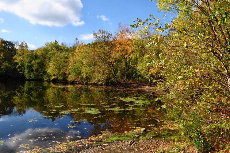 Harriman Hiker: Harriman State Park and Beyond: Lake Henry, Continental ...