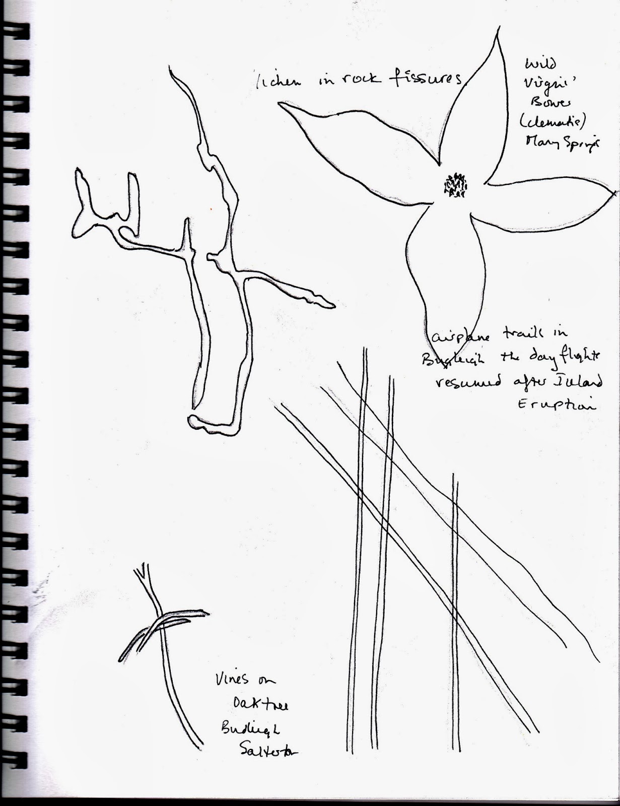 Wendy Klotz: Drawings of Cross Designs