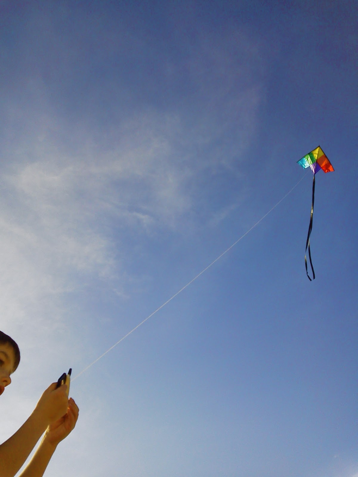 candice ashment art: Kite Flying Colors