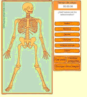 Yaritza Jimenez Suarez: Juego "Partes del Esqueleto Humano"