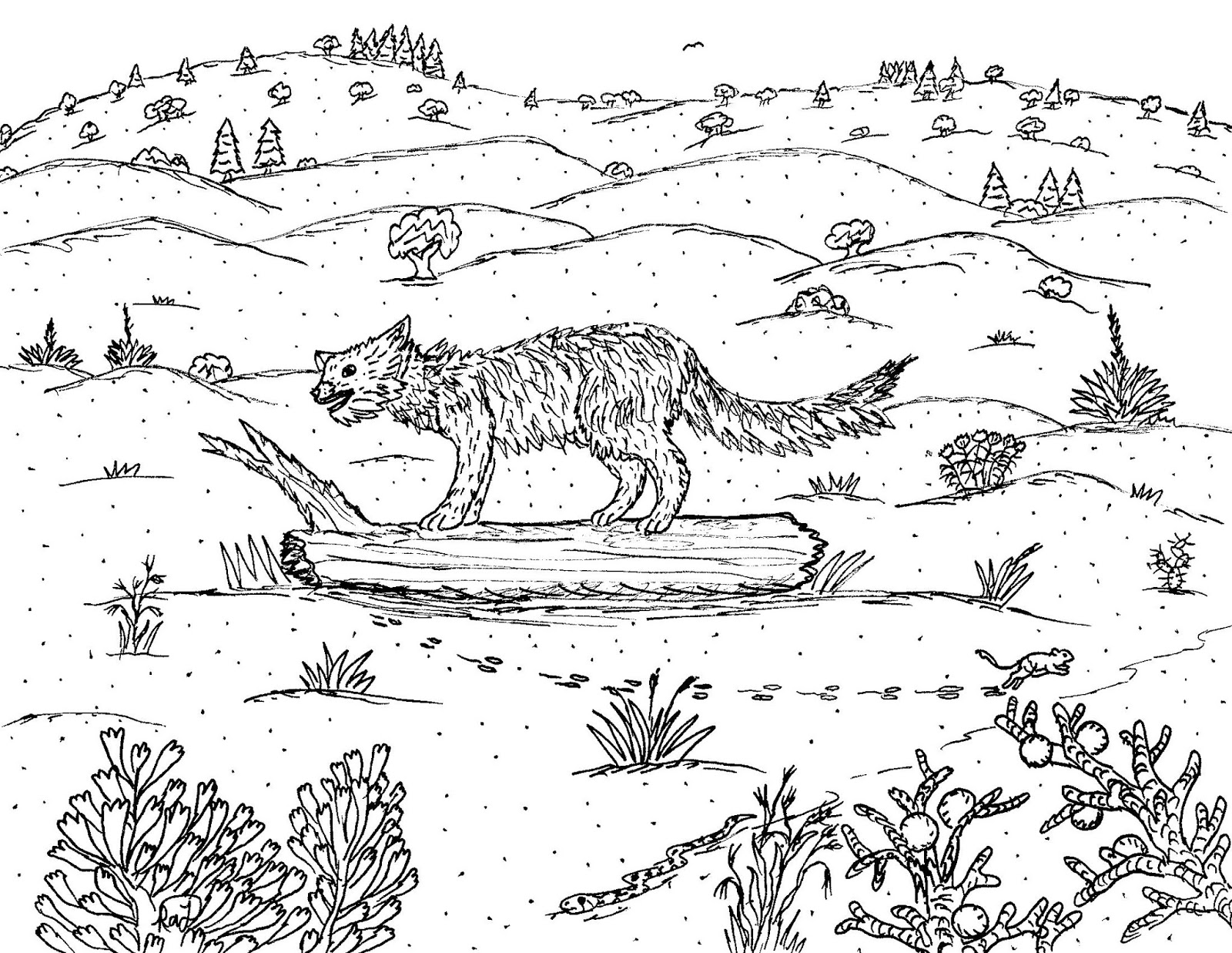 Robin's Great Coloring Pages: Coral Pink Sand Dunes Plants and Animals 2
