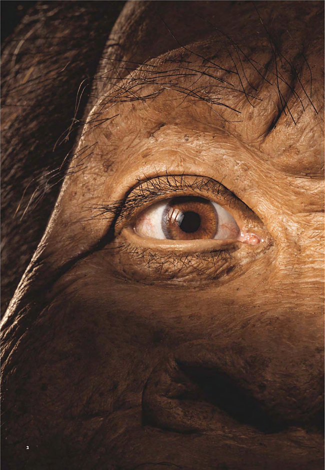 espeleobloc: Quasi humans?