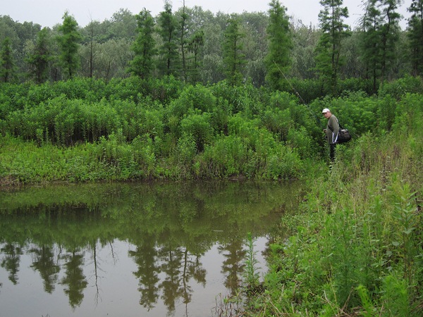 ANGLING WORLD 魔魚釣界: Monster Fish in China - Yellow Cheek!!