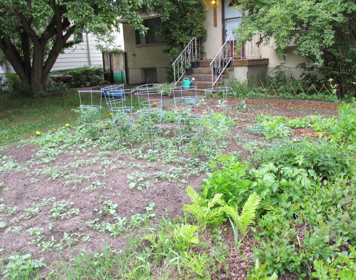 Gardening with Jess: Neighbourhood gardens