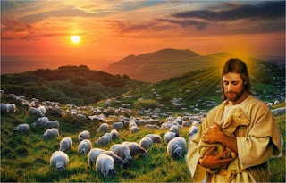 Sacerdotus: 16th Sunday in Ordinary Time - The Flock He Shepherds