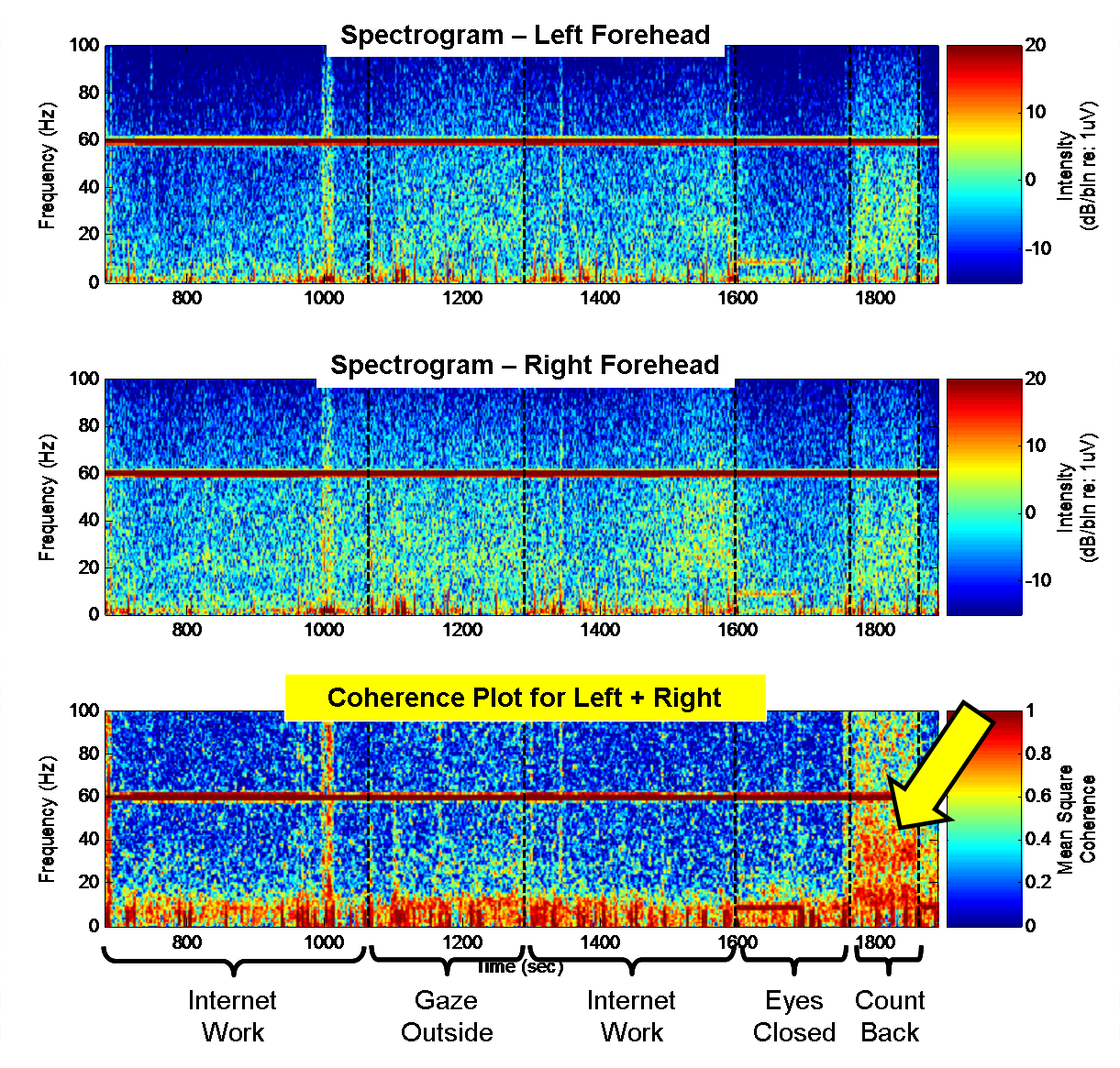 EEG Hacker: Concentration - Birds Beat the Internet