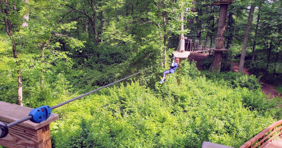 Ben's Journal: Adventures in Aerial Therapy - Sandy Spring Adventure Park