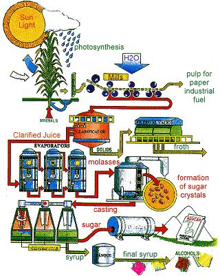Proses Kristalisasi Pada Gula ~ Pertambangan & Kebumian