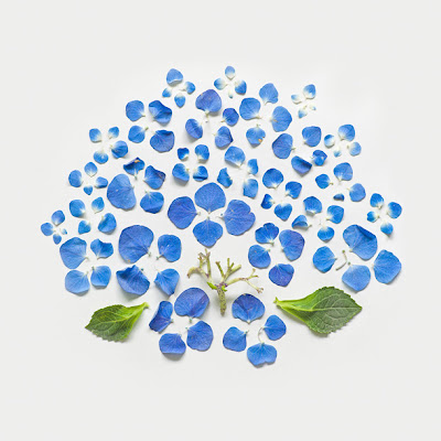 Giulia Geranium: Fragmented Flowers