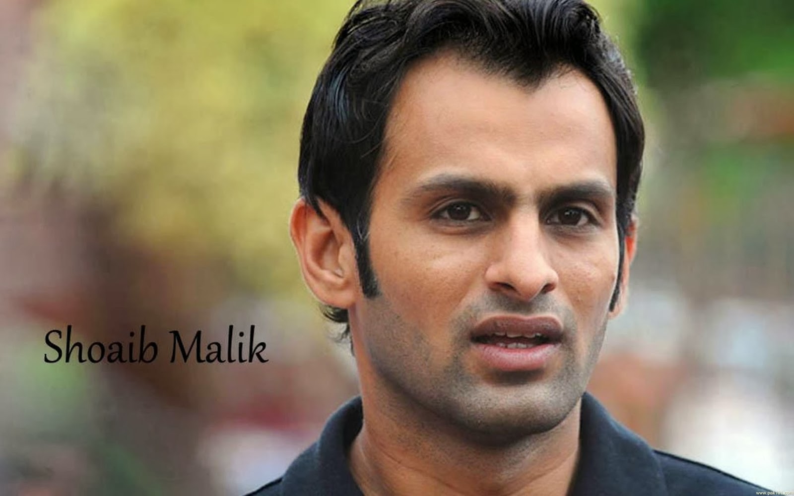 Words Celebrities Wallpapers: Shoaib Malik Brand New HD Wallpapers 2014